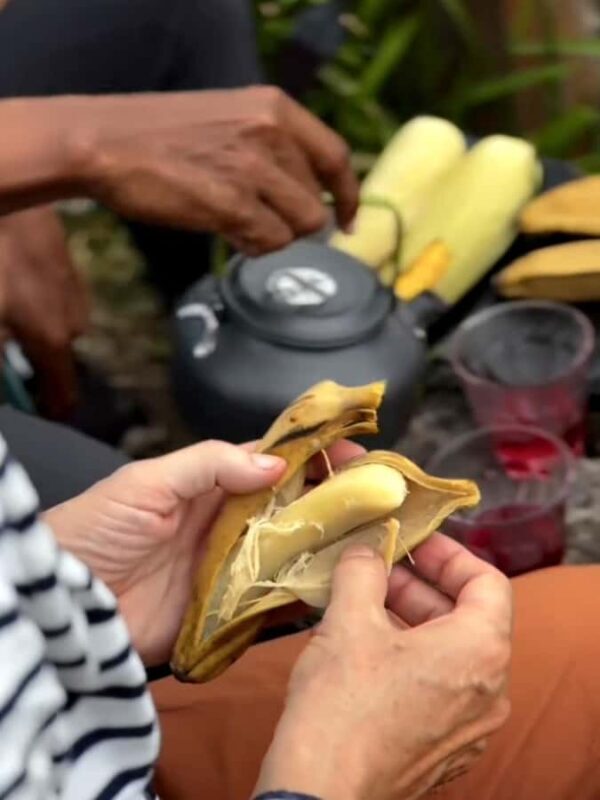 Mount Merapi Soft Trekking With Forest Conservation Tour - Who Should Consider This Tour?