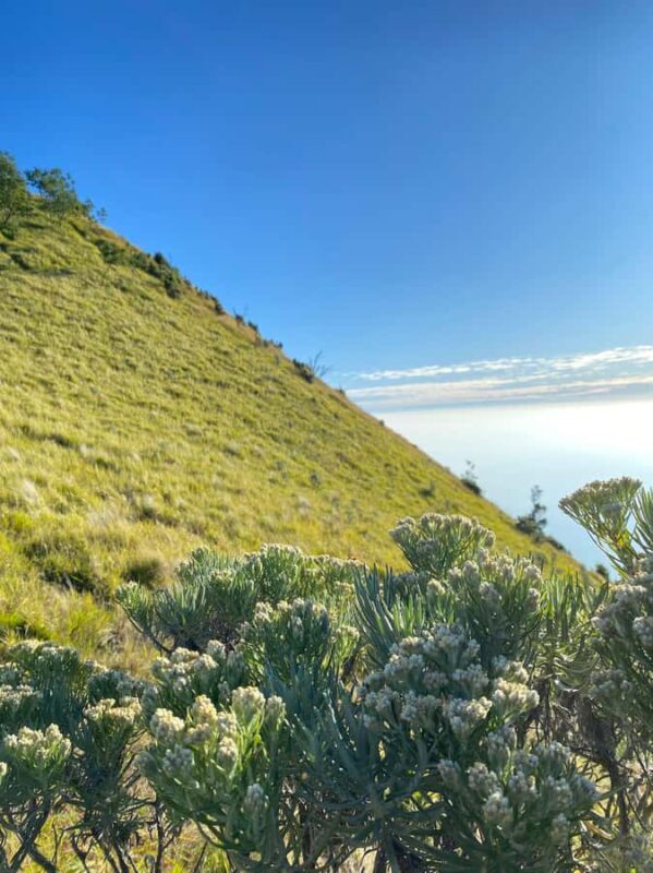 Mount Merbabu Edelweiss & Savanna Views tour from Yogyakarta - Introduction to the Mount Merbabu Trekking Tour