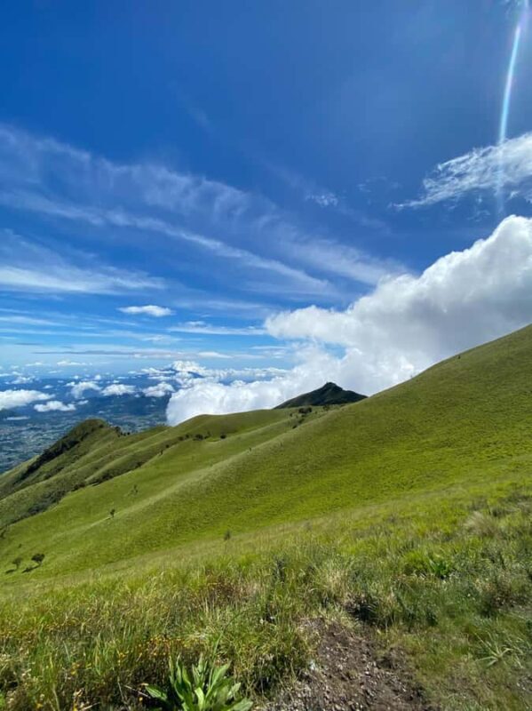 Mount Merbabu Edelweiss & Savanna Views tour from Yogyakarta - How Do Reviews Reflect the Experience?