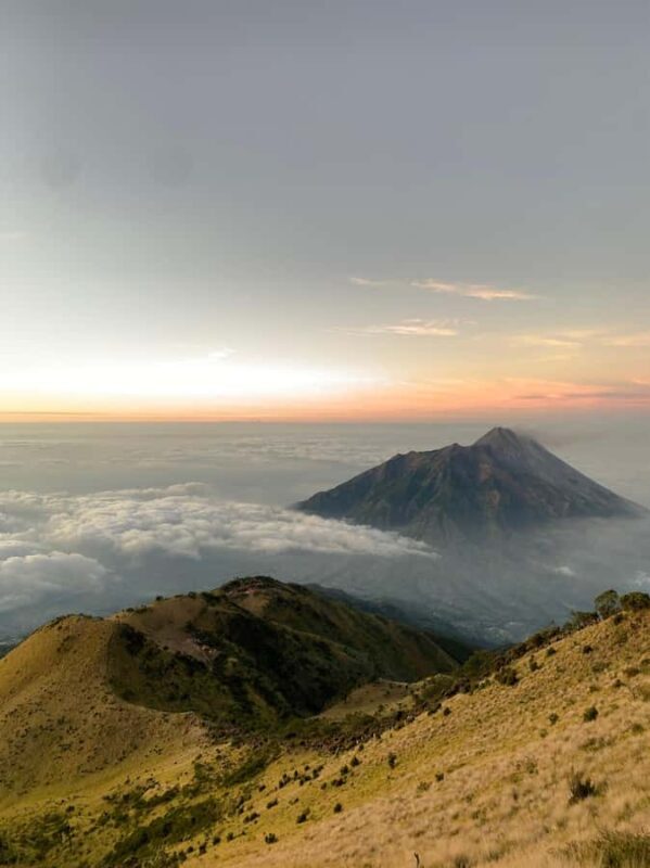 Mount Merbabu Edelweiss & Savanna Views tour from Yogyakarta - The Sum Up