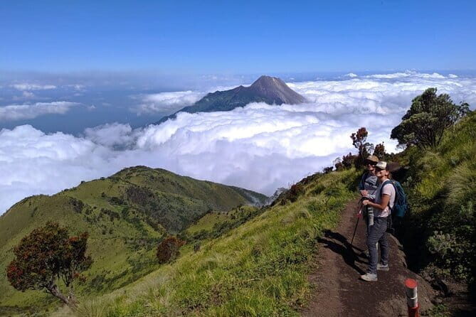 Mount Merbabu One Day Hiking Tour From Yogyakarta - Key Points