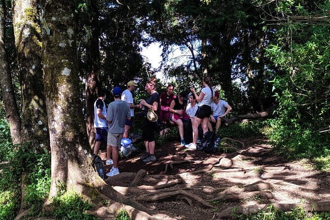 Mount Merbabu One Day Hiking Tour From Yogyakarta - The Sum Up: Who’s This Tour Best For?