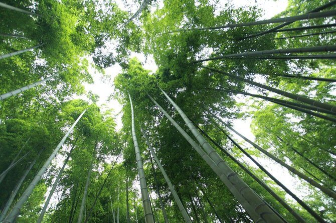 Mount Mogan Self-Guided Tour from Shanghai by Private Transfer - Key Points