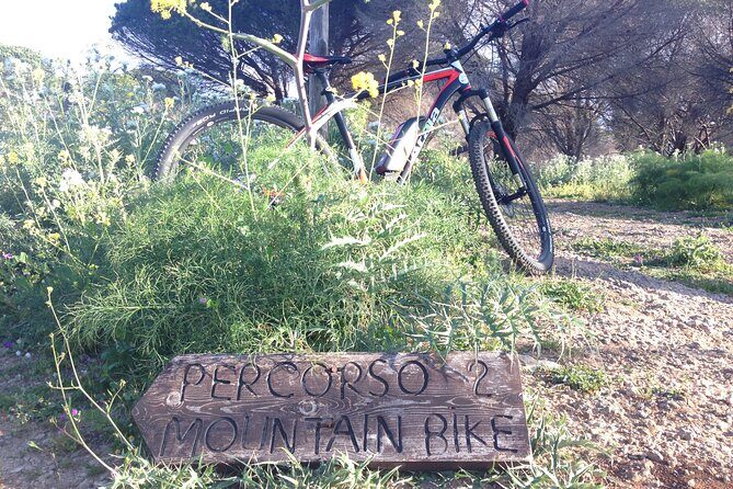 Mount Pellegrino MTB EXPERIENCE - Authentic Feedback from Participants