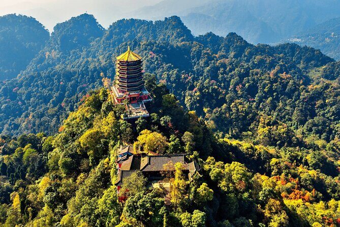 Mount Qingcheng and Dujiangyan Irrigation Sightseeing Tour - Who Will Love This Tour?