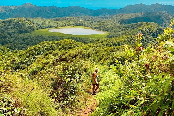 Mount Qua Qua Hiking Adventure From Grand Etang/Lake - Who Should Consider This Tour?