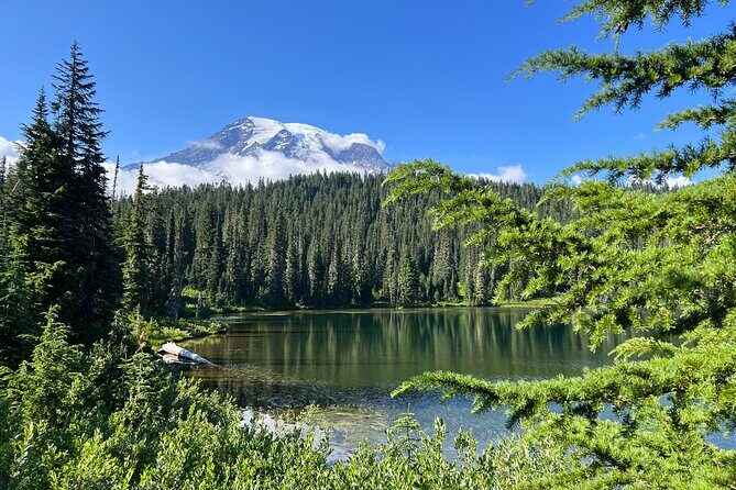 Mount Rainier Customized Tour from Seattle - Evaluating the Value
