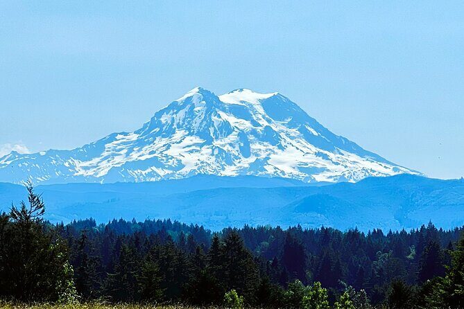 Mount Rainier Customized Tour from Seattle - Final Thoughts
