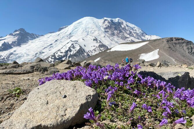 Mount Rainier Day Hike - Who Should Consider This Tour?