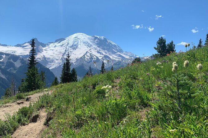 Mount Rainier Full Day Private Tour and Hike - A Deep Dive into the Experience