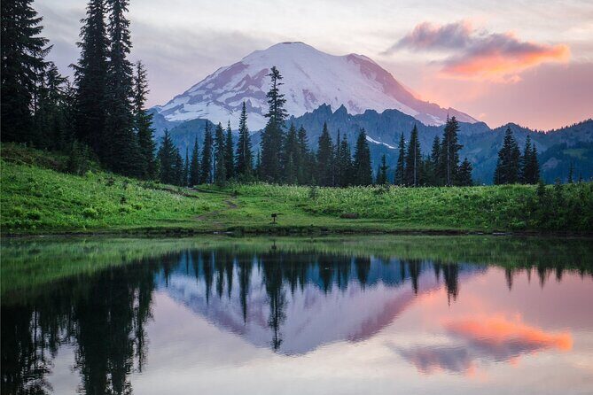 Mount Rainier Full Day Private Tour and Hike (Seattle) - Exploring the Mount Rainier Full Day Private Tour and Hike (Seattle): A Practical Guide for Nature Enthusiasts