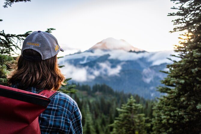 Mount Rainier Full Day Small Group Tour - Key Points