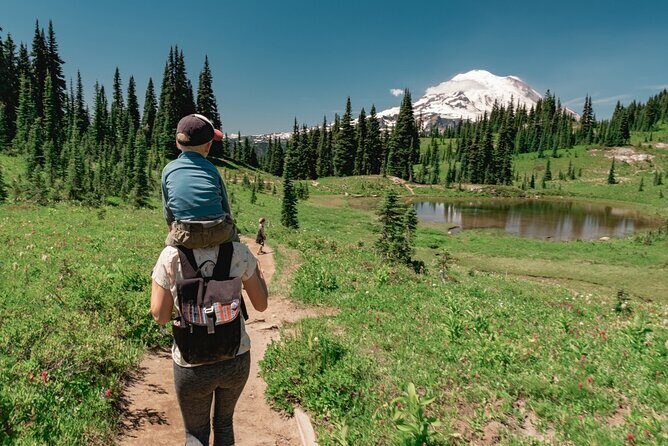 Mount Rainier National Park tour from Seattle - Reflection Lakes: Mirror of Majesty