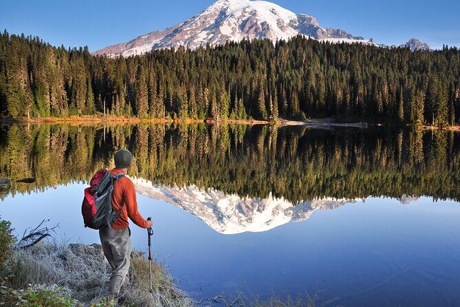 Mount Rainier National Park tour from Seattle - Wrapping Up in Seattle