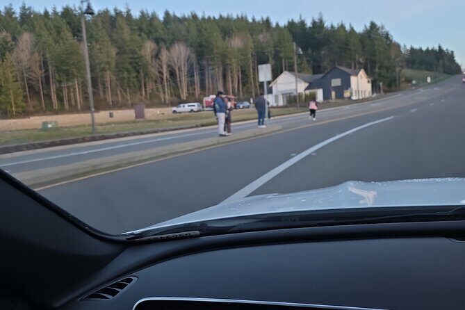 Mount Rainier Photo Tour with Private Sprinter Transport - Price and Value Analysis