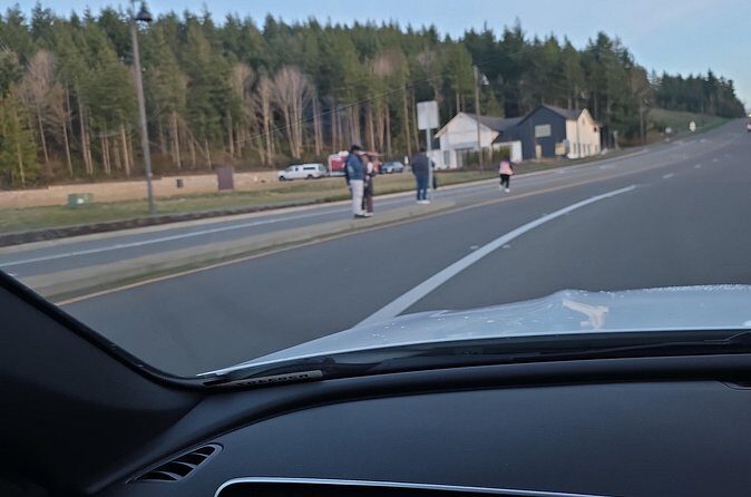 Mount Rainier Photo Tour with Private Sprinter Transport - The Sum Up