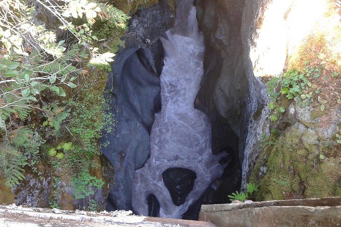 Mount Rainier Tour from Seattle - Final Thoughts