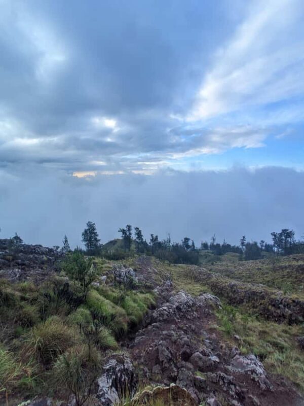 Mount Rinjani: 2D/1N Trekking To Sembalun Or Senaru Views - An Overview of Mount Rinjani Trekking