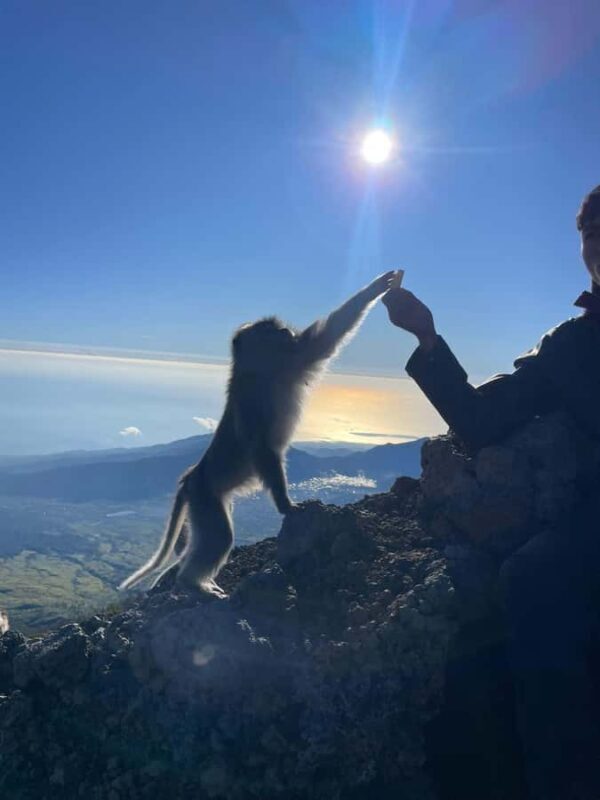 Mount Rinjani Hike Summit 1-Day Trekking Tour - Key Points