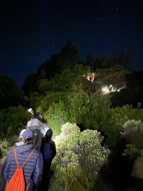 Mount Rinjani Hike Summit 1-Day Trekking Tour - What to Expect at Each Stage