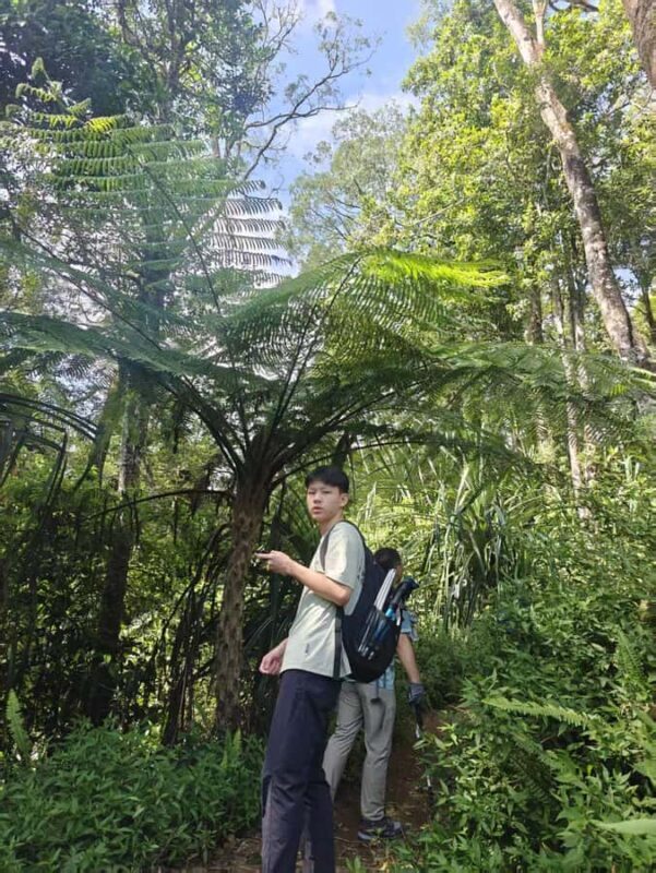 Mount Rinjani One Days trek via Senaru Crater rim - The Starting Point and Transportation