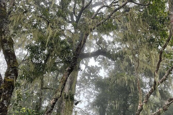 Mount Rinjani Second Summit 2 Days 1 Night - The Sum Up: Who Should Consider This Trek?