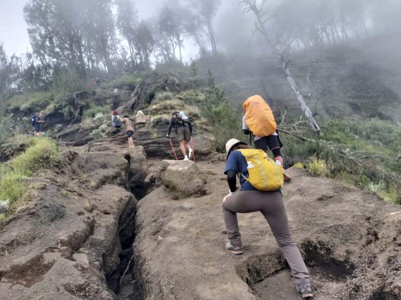 Mount Rinjani: Sembalun/Senaru Summit 2-Day Trekking Tour - The Experience: What Makes It Special