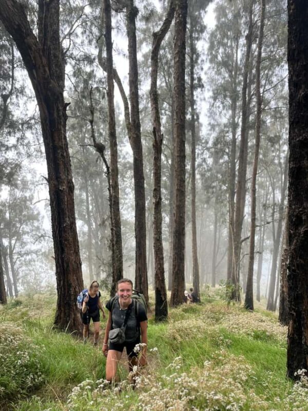 Mount Rinjani Setampol Rim Outdoor Hike and Camping Tour - Authentic Experiences and Authentic Adventure