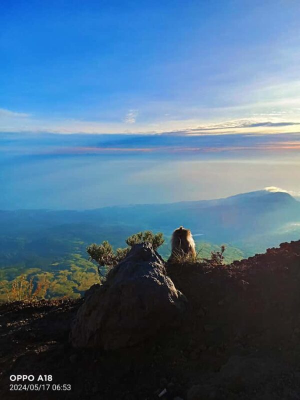 Mount Rinjani : Trekking Rinjani Senaru Crater Rim - Authentic Experiences and Unique Perspectives