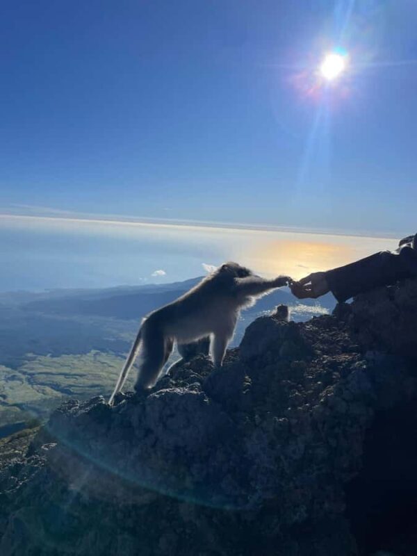 Mount Rinjani: Trekking To Summit Rinjani 3726m Day Tour - Who Will Love This Trek?