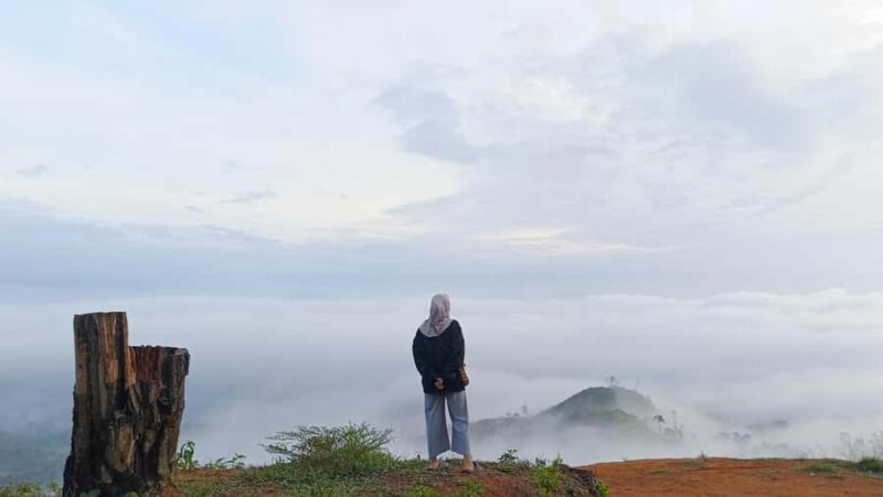 Mount Sago: Summit Zen & Palm Sugar Tour" - Key Points