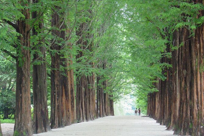Mount Seorak and Nami Island One Day Tour from Seoul - A Deep Dive into the Experience