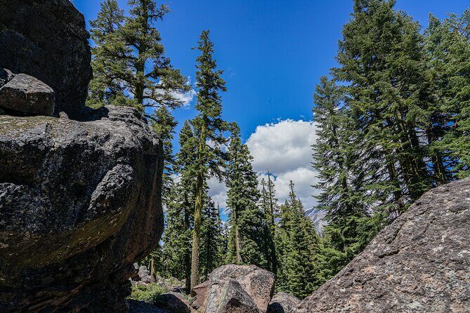 Mount Shasta Guided Tour - Stop 2: Geology and Spiritual Energy of Mount Shasta