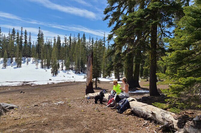 Mount Shasta Sacred Tour - Who Will Truly Appreciate This Tour?