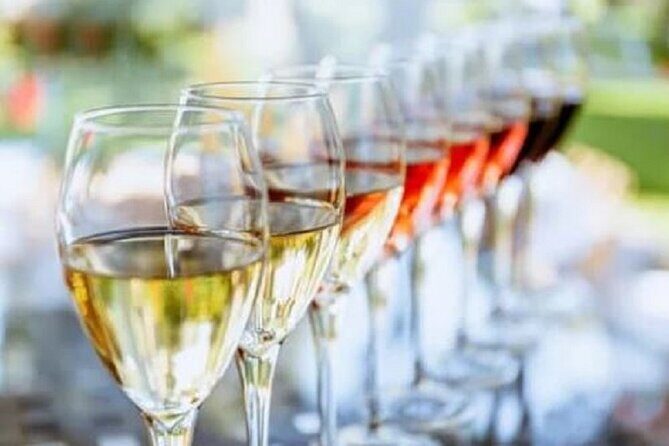 Mount Tamborine Deluxe Wine Tasting with Two Course Lunch - Introduction: Why This Tour Is Worth Your While