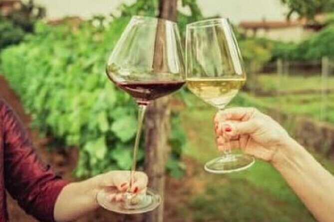 Mount Tamborine Deluxe Wine Tasting with Two Course Lunch - The Practicalities: Transportation, Timing, and Value