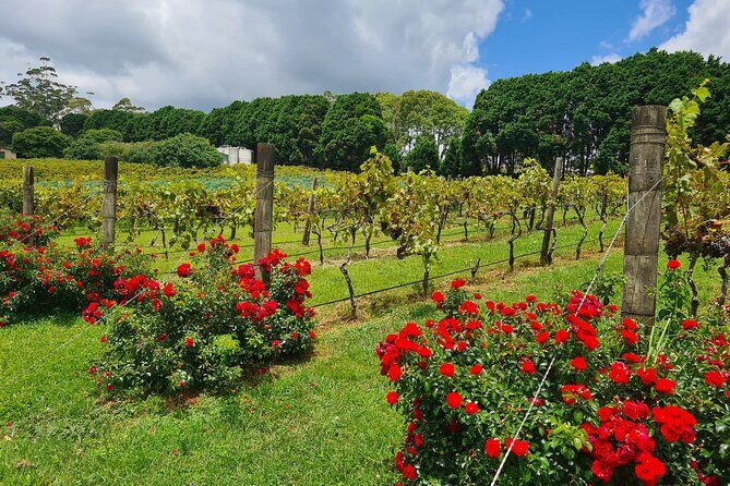 Mount Tamborine Wine Tasting Tour from Brisbane or the Gold Coast - Detailed Review of the Stops