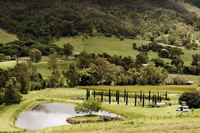Mount Tamborine Winery Tour with Gourmet lunch - An Authentic Look at the Mount Tamborine Winery Tour