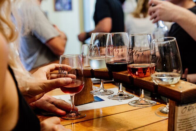 Mount Tamborine Winery Tour with Gourmet lunch - Who Should Consider This Tour?