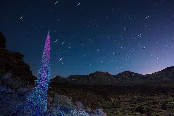 Mount Teide Night Tour: Stargazing, Dinner and Hotel Pick up - Logistics and Practical Tips