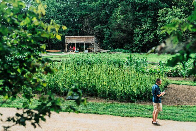 Mount Vernon and Old Town Alexandria Day Trip from Washington DC - Optional Night Tour Upgrade
