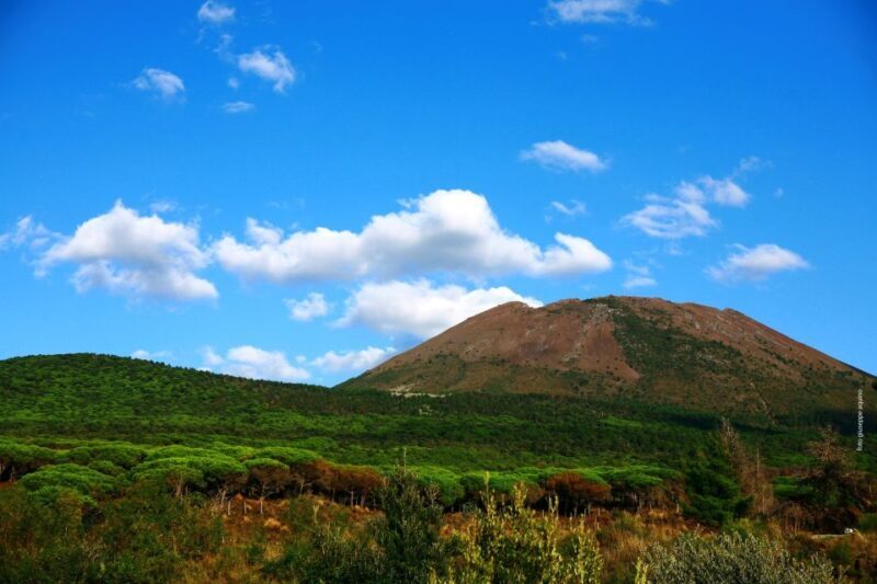 Mount Vesuvius 4-Hour Volcano Tour with Wine Tasting - Is This Tour for You?