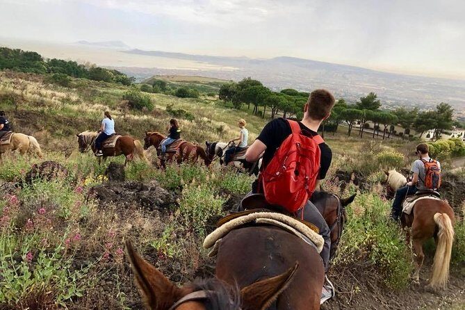 Mount Vesuvius Guided Horse Riding Tour with Sample Wine - Frequently Asked Questions