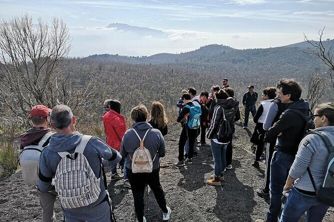 Mount Vesuvius tour by bus and ticket included from Ercolano - The Itinerary: What to Expect on Your Mount Vesuvius Adventure