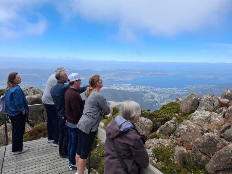 Mount Wellington Shore Excursion - What Makes This Tour Worth Considering?