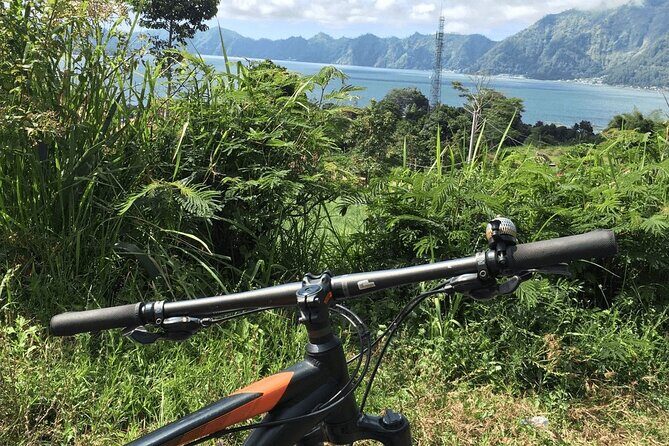 Mountain Bicycle Rental at Mount Batur - Who Will Love This Tour?