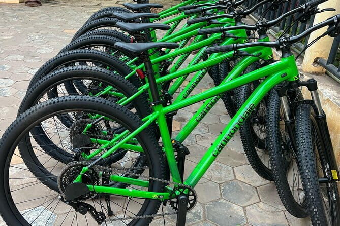Mountain Bike Rental Siem Reap - Key Points