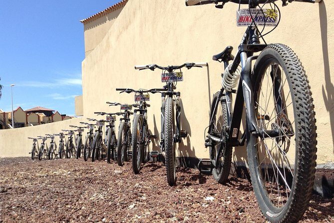Mountain Bike Rental Tenerife - The Route Freedom — No Fixed Itinerary