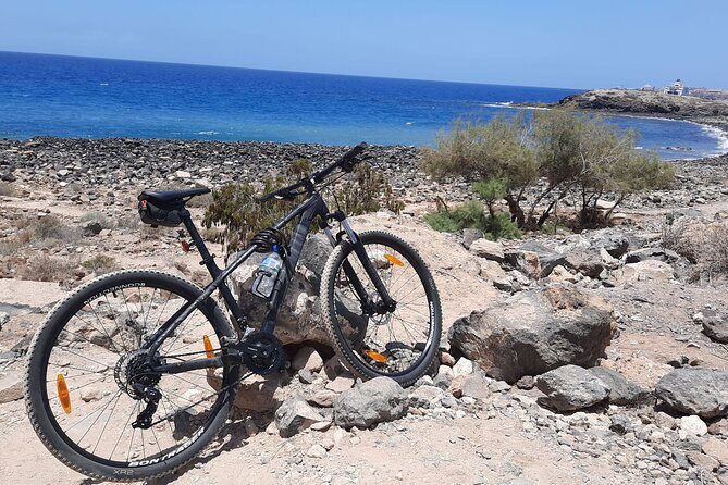 Mountain Bike Rental Tenerife - Detailed Tour Breakdown