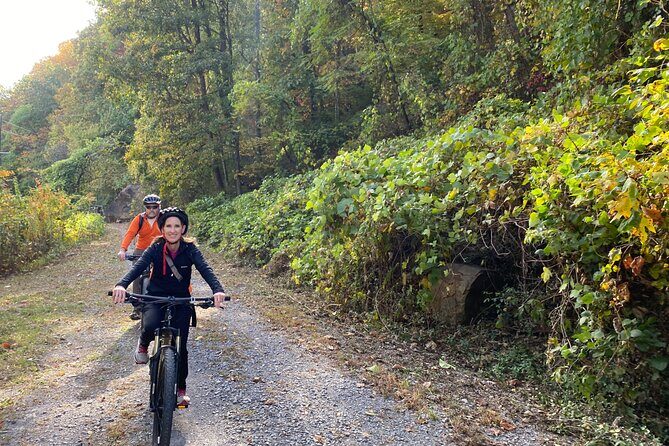 Mountain Bike Rentals by Chattanooga Guided Adventures - Pricing and Value